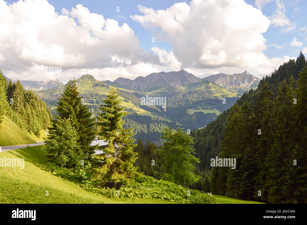 View of a valley and green hills in the Austrian Tyrol Stock Photo - Alamy