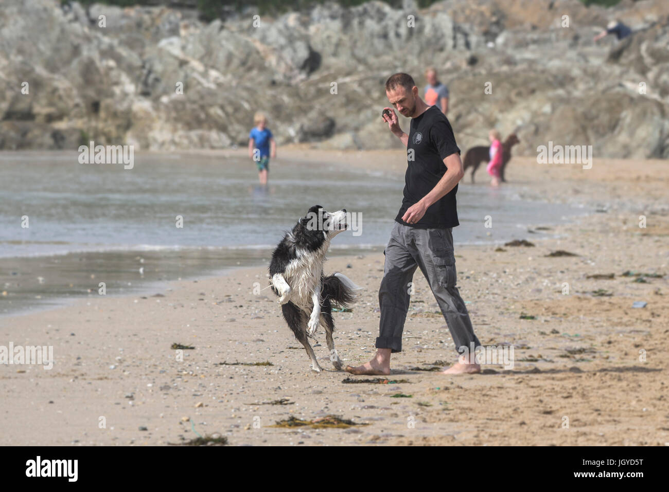 A man throwing a pebble for his dog on a beach Stock Photo - Alamy