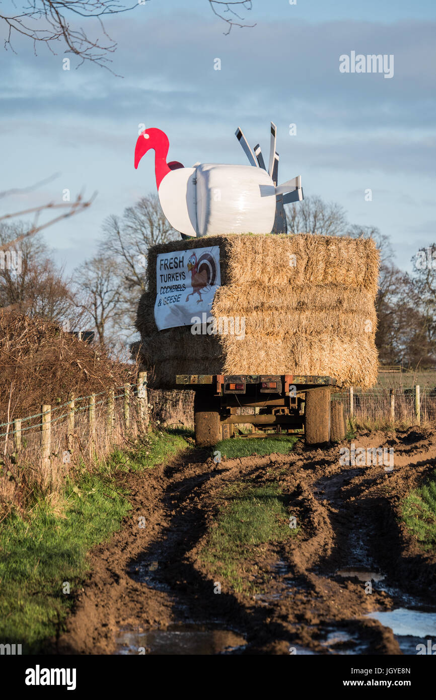 Turkey's made out of large round bales and decorated by farmer producer ...