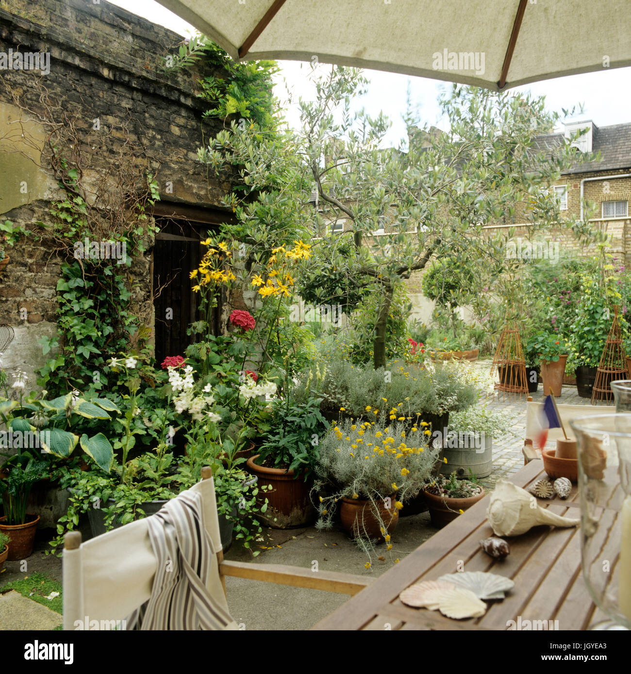 Plants hi-res stock photography and images - Alamy