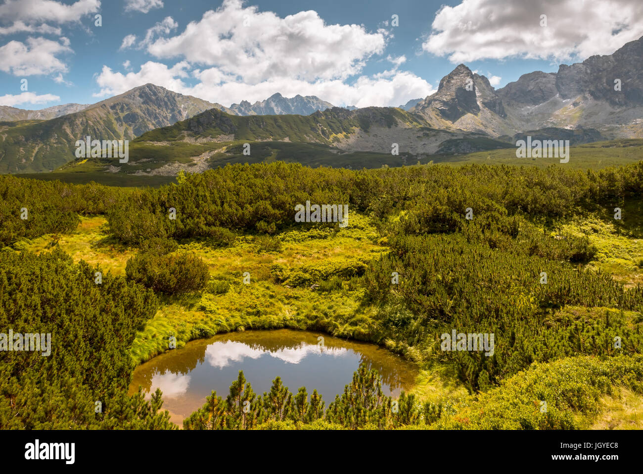 Tatra vacations hi-res stock photography and images - Alamy