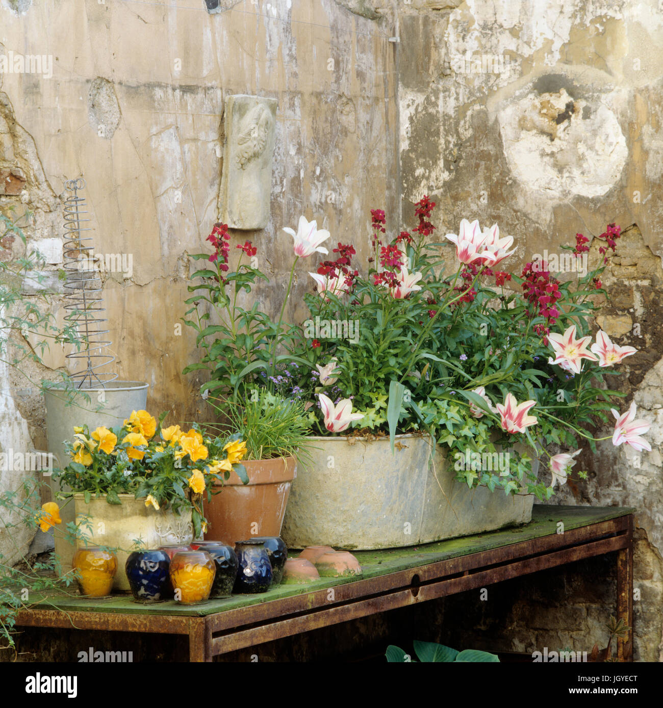 Plants plant hi-res stock photography and images - Alamy