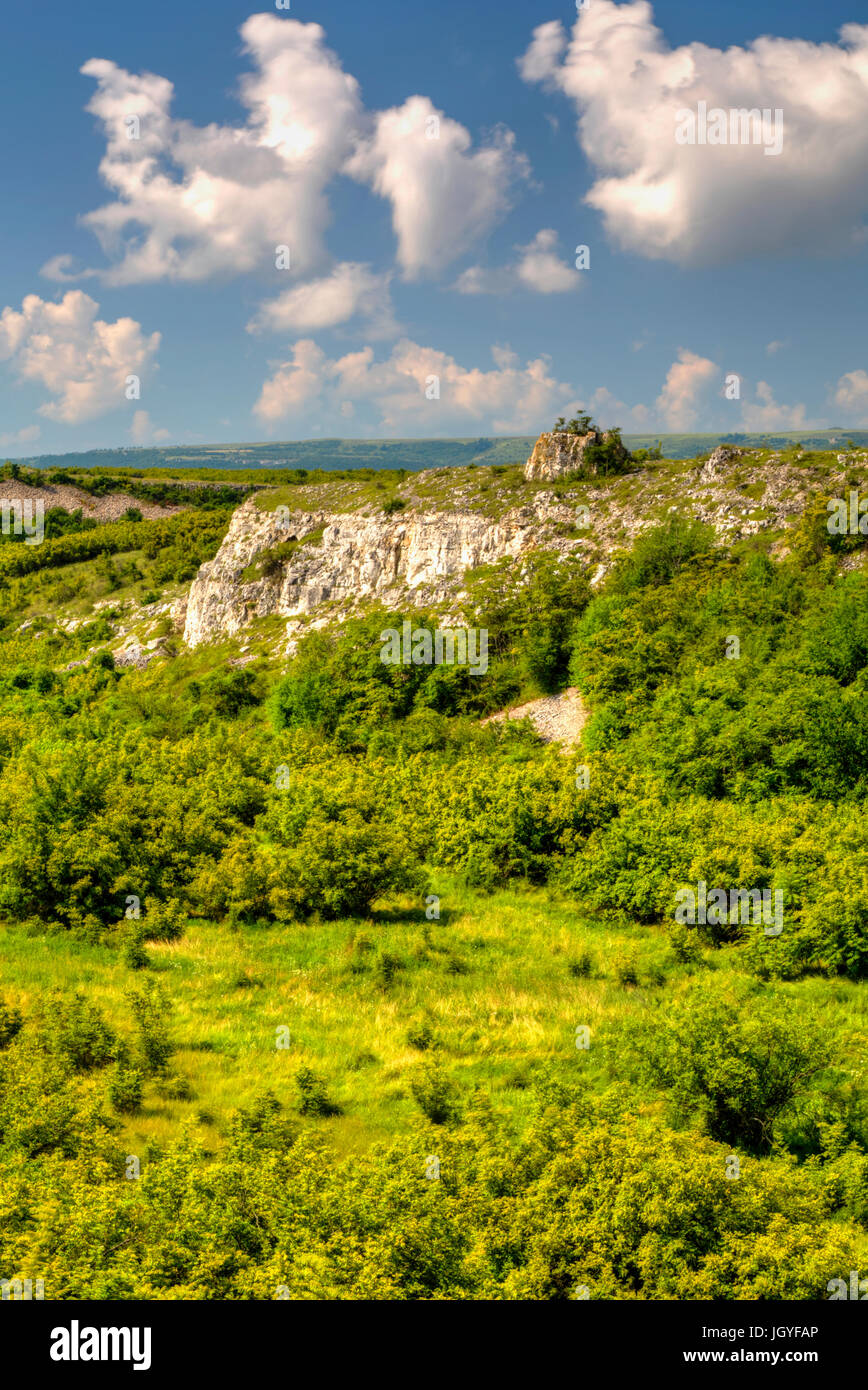 Beautiful summer landscape Stock Photo - Alamy