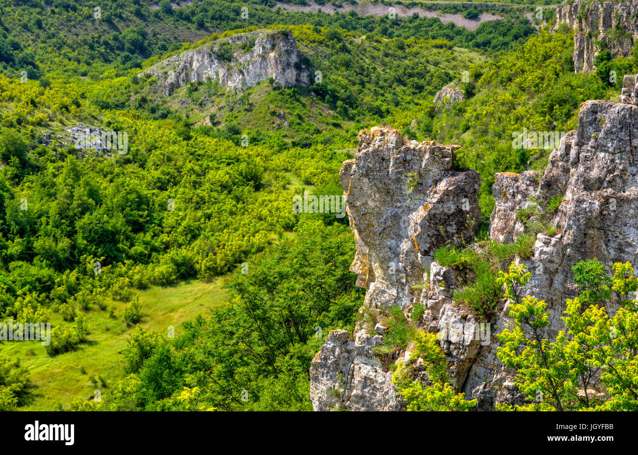 Beautiful summer landscape Stock Photo - Alamy