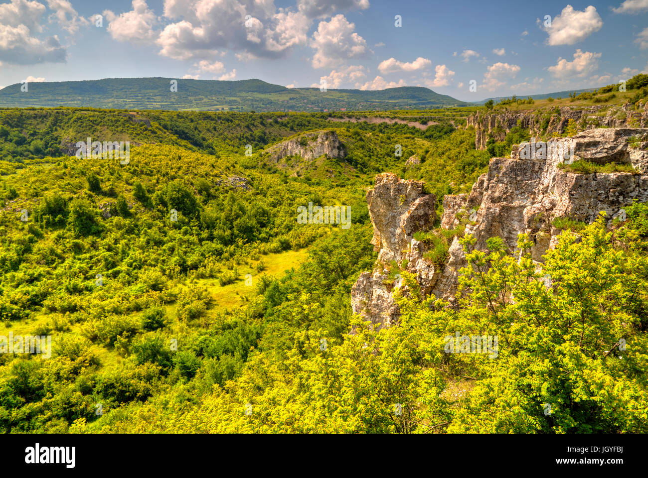 Beautiful summer landscape Stock Photo - Alamy