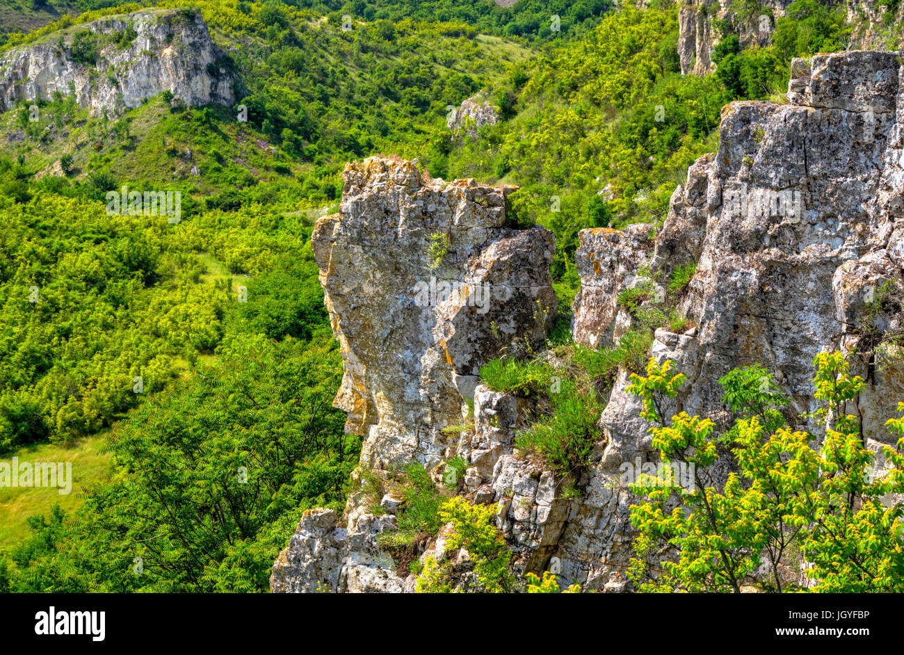 Beautiful summer landscape Stock Photo - Alamy