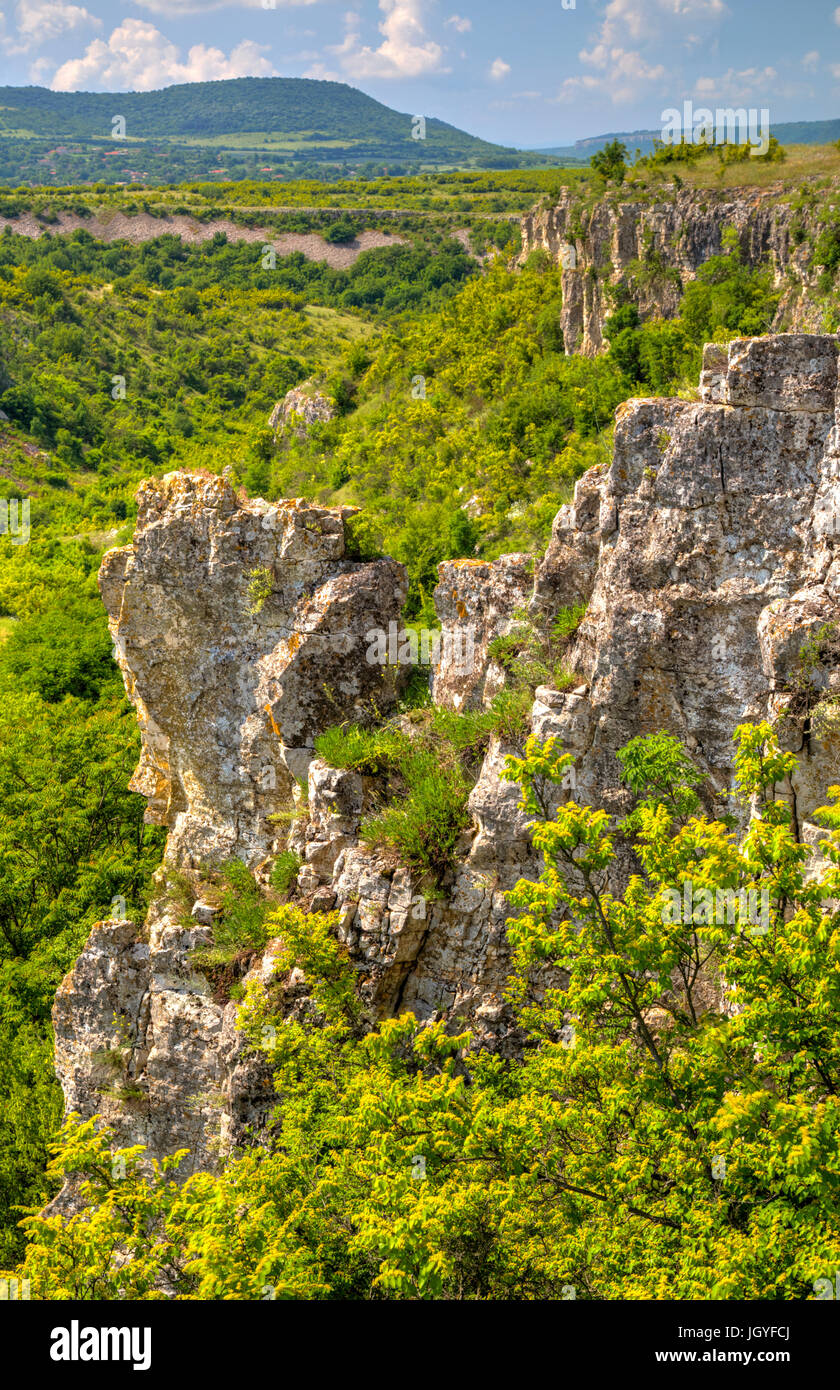 Beautiful summer landscape Stock Photo - Alamy