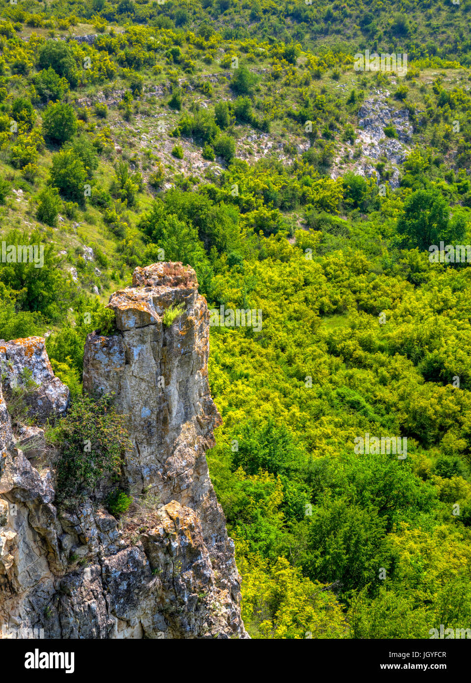 Beautiful summer landscape Stock Photo - Alamy