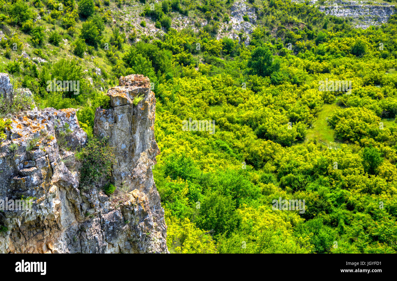 Beautiful summer landscape Stock Photo - Alamy