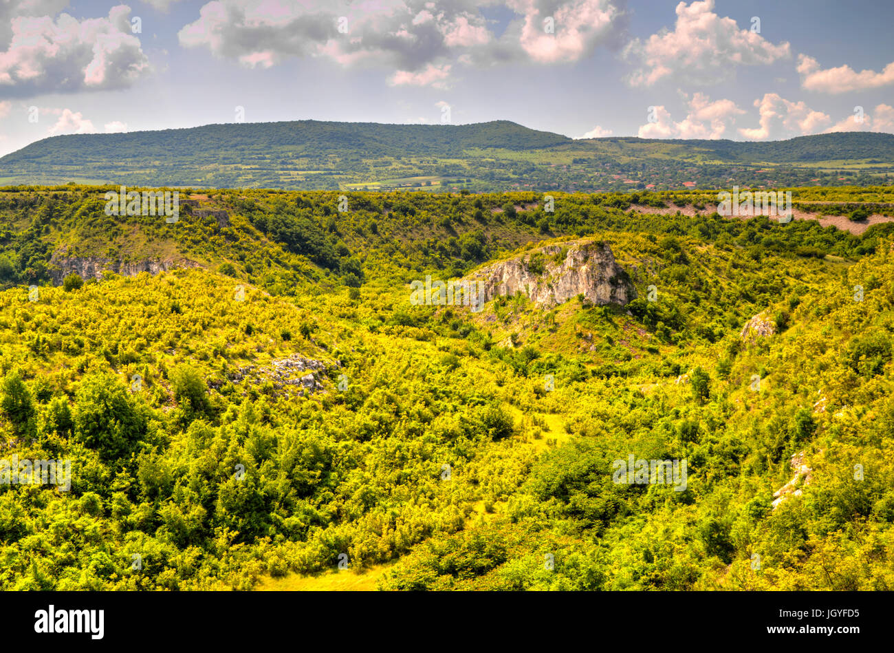 Beautiful summer landscape Stock Photo - Alamy