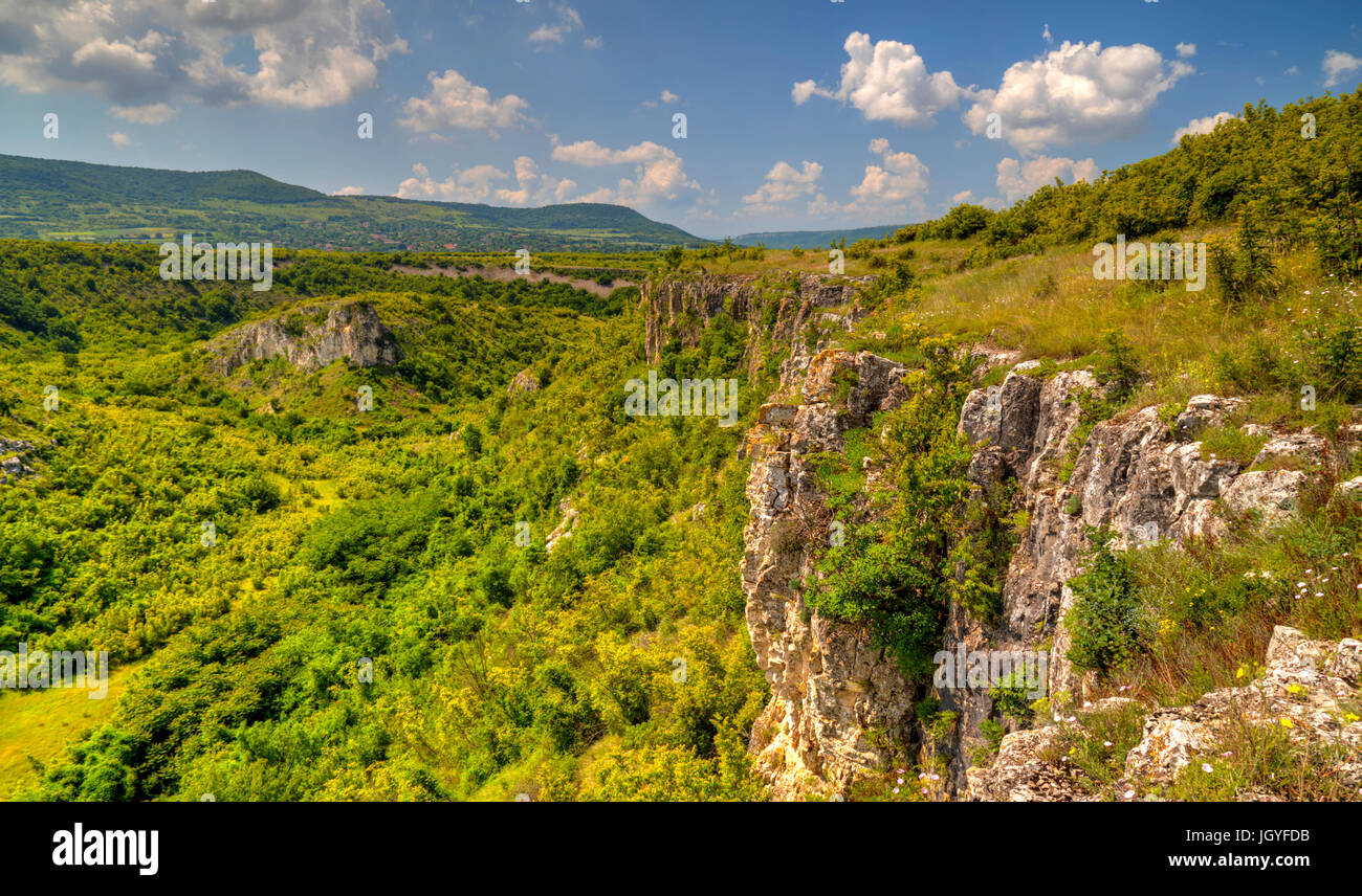 Beautiful summer landscape Stock Photo - Alamy