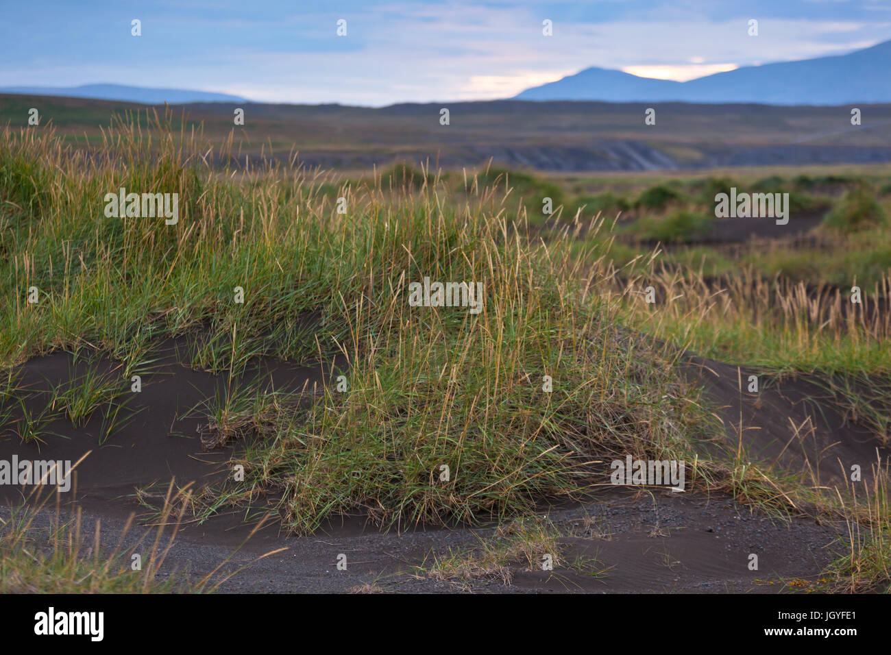 Iceland landscape: Black Volcanic Ash Dunes Field Stock Photo - Alamy