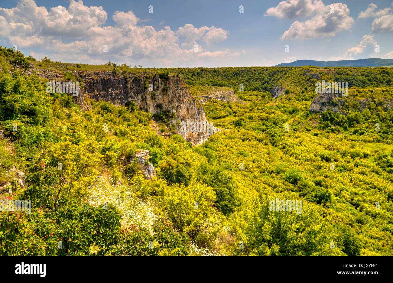 Beautiful summer landscape Stock Photo - Alamy