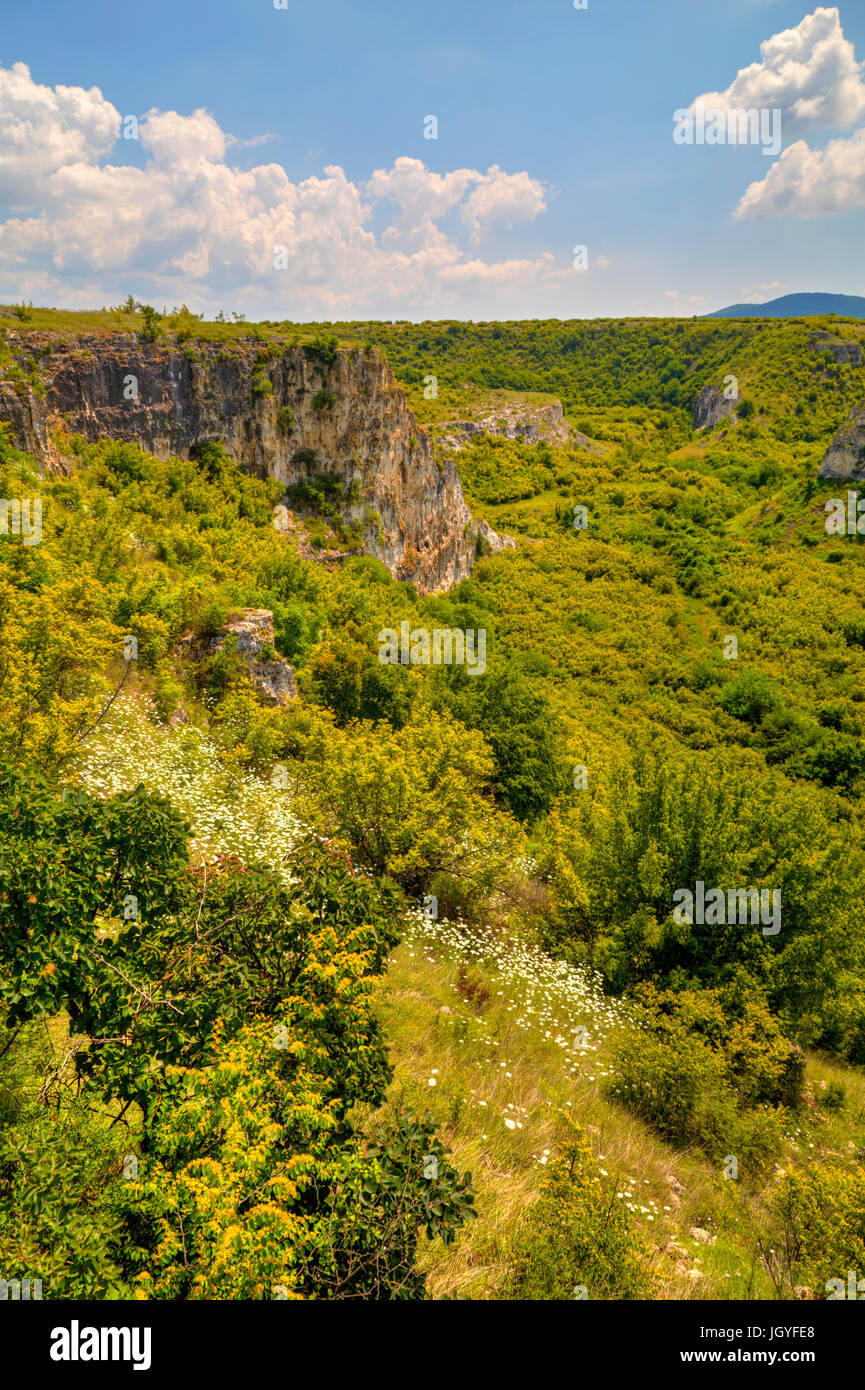 Beautiful summer landscape Stock Photo - Alamy