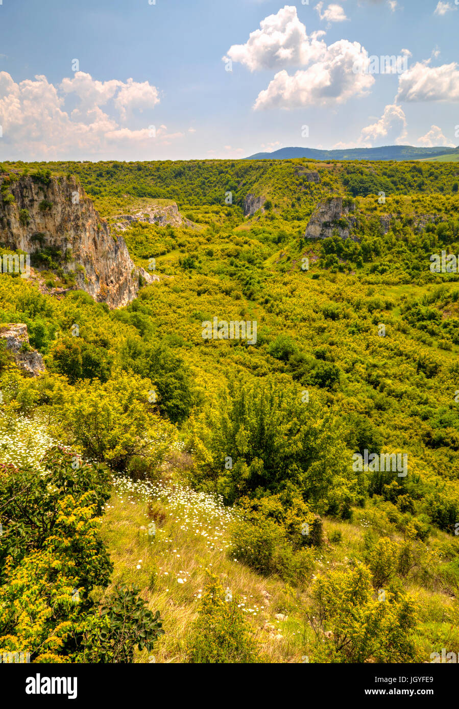 Beautiful summer landscape Stock Photo - Alamy