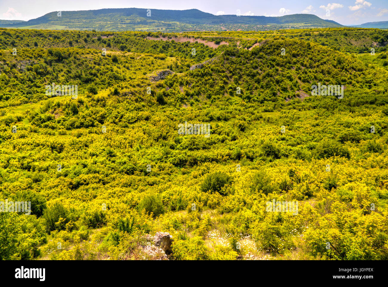 Beautiful summer landscape Stock Photo - Alamy