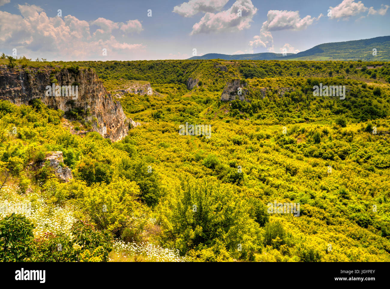 Beautiful summer landscape Stock Photo - Alamy
