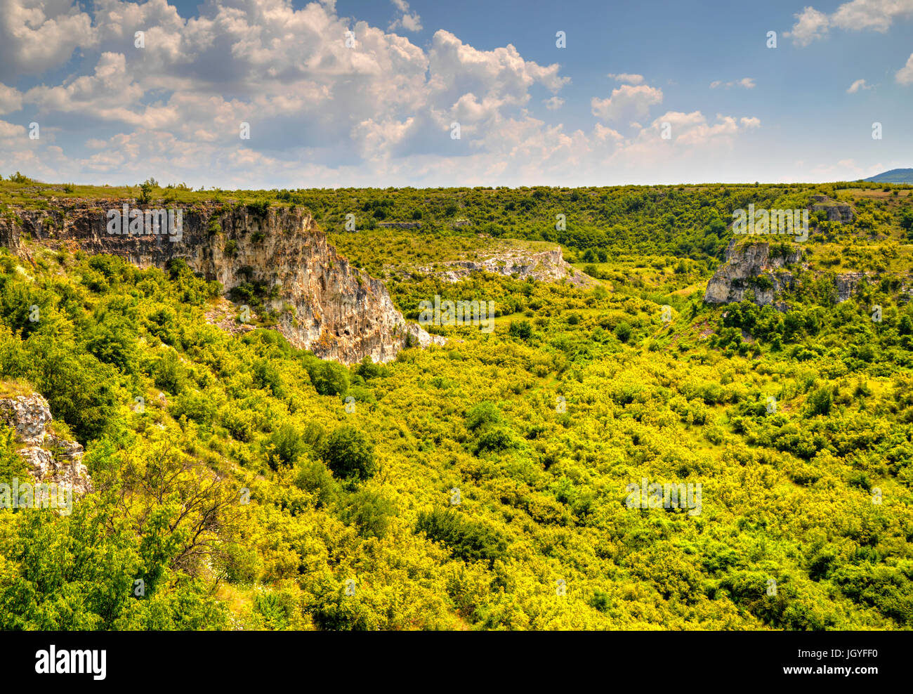 Beautiful summer landscape Stock Photo - Alamy