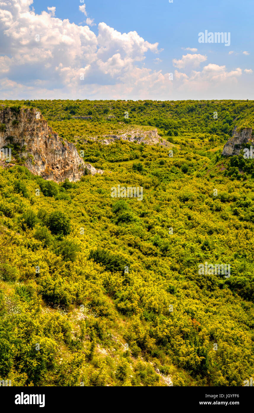Beautiful summer landscape Stock Photo - Alamy