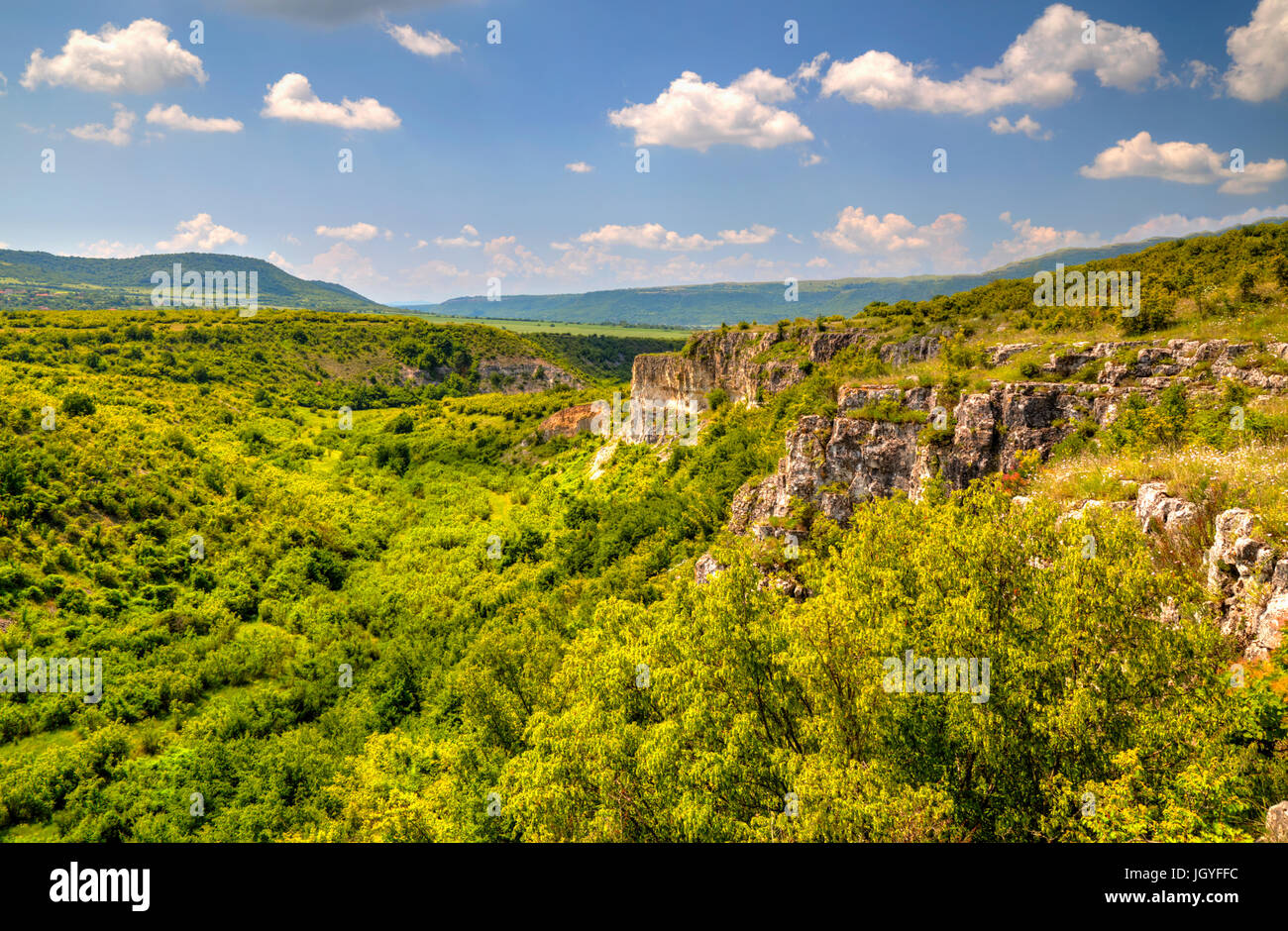 Beautiful summer landscape Stock Photo - Alamy