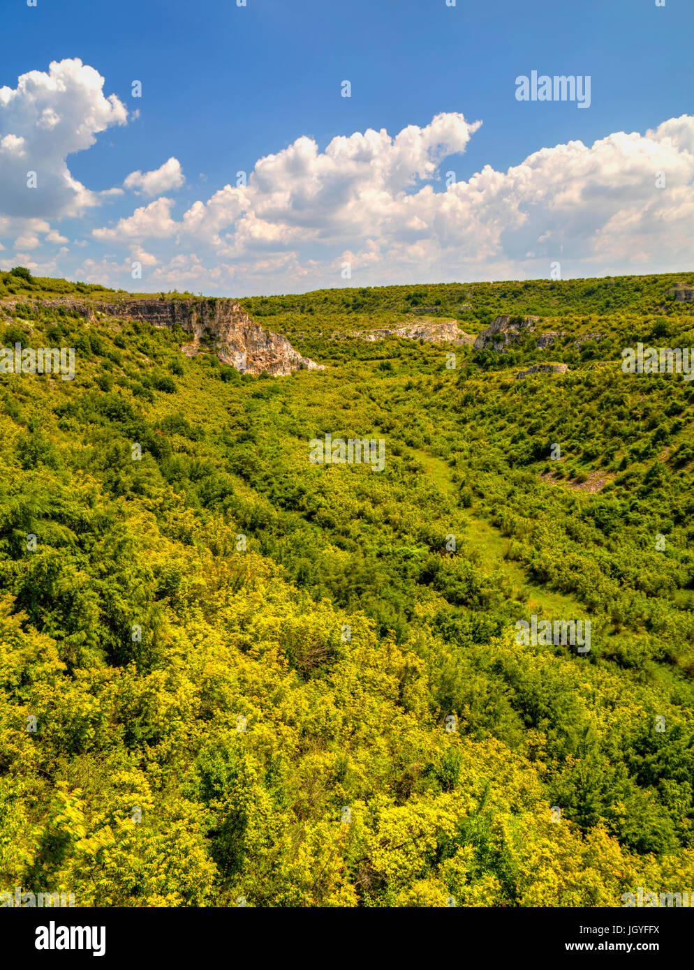 Beautiful summer landscape Stock Photo - Alamy