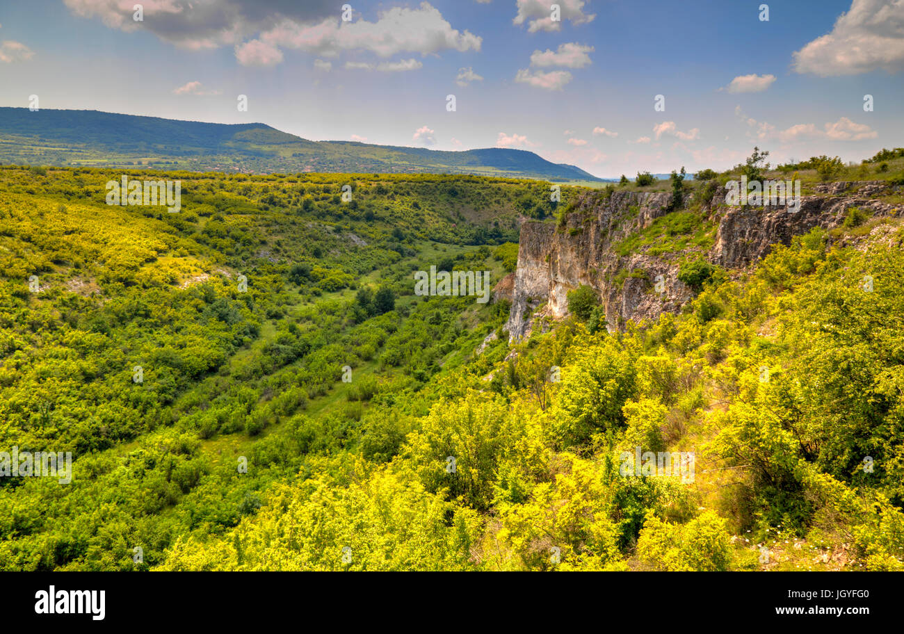 Beautiful summer landscape Stock Photo - Alamy