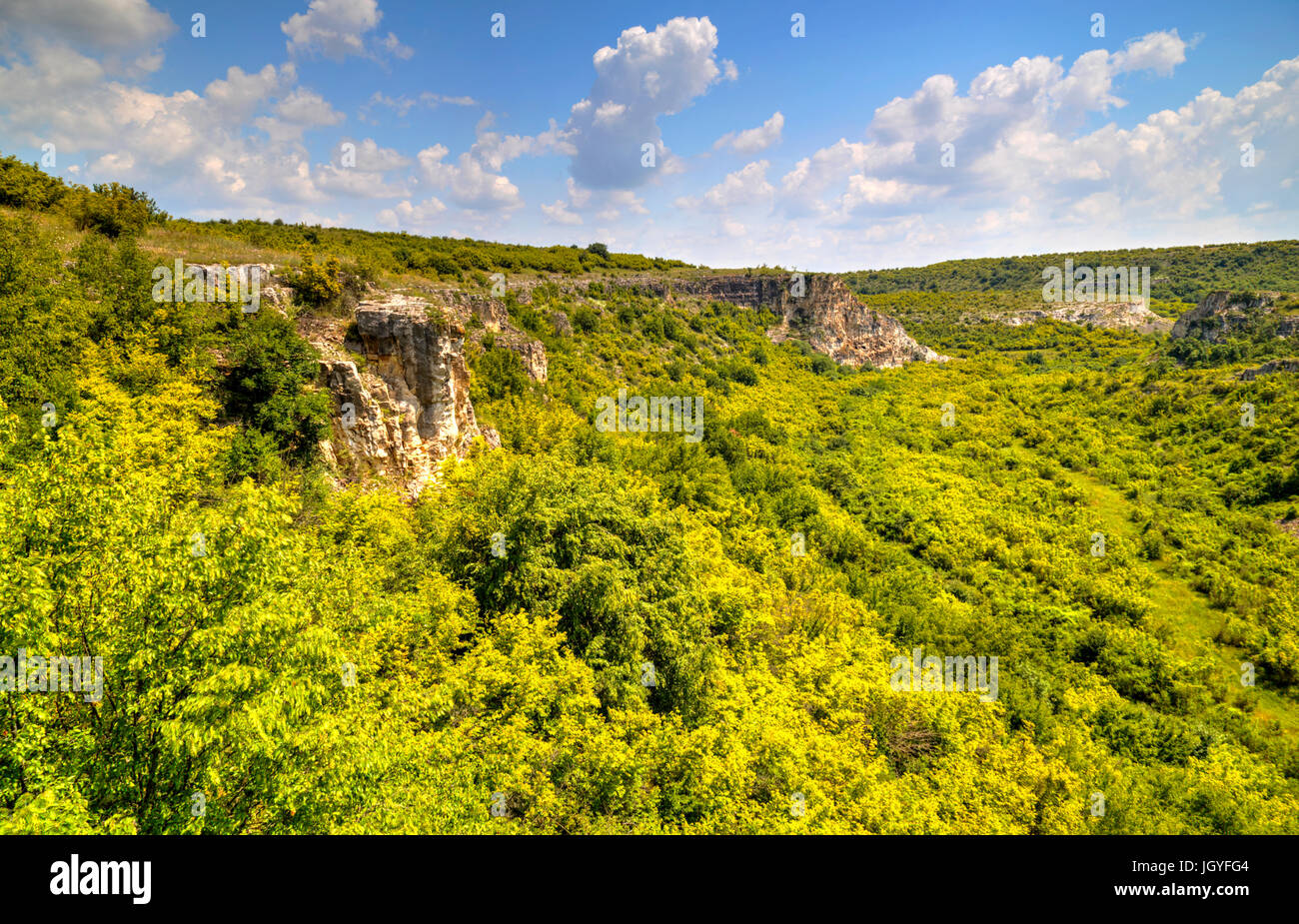 Beautiful summer landscape Stock Photo - Alamy