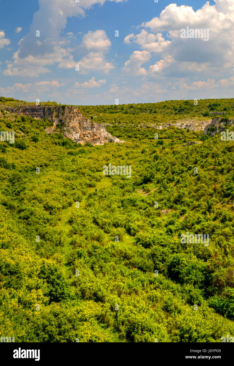 Beautiful summer landscape Stock Photo - Alamy