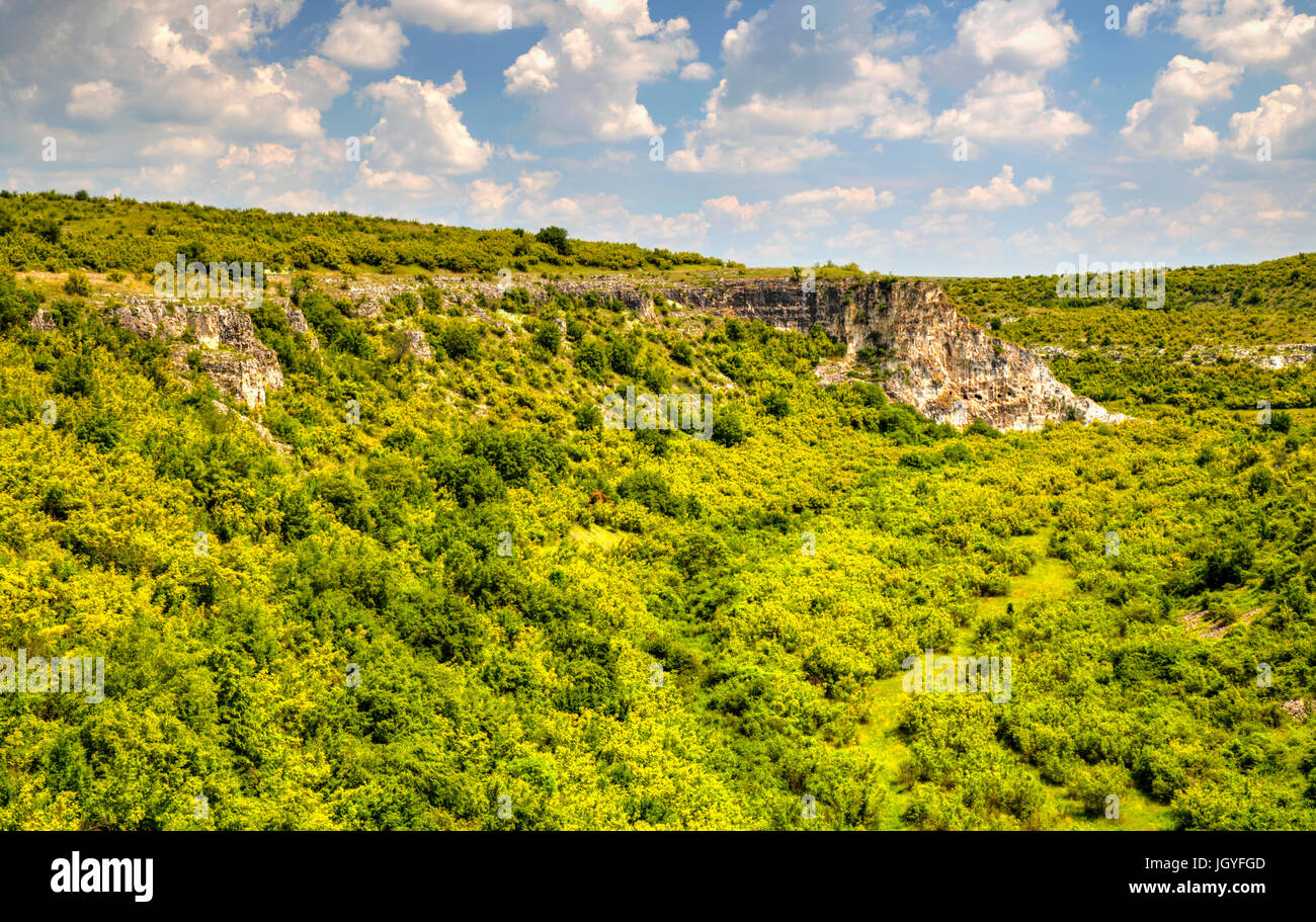 Beautiful summer landscape Stock Photo - Alamy