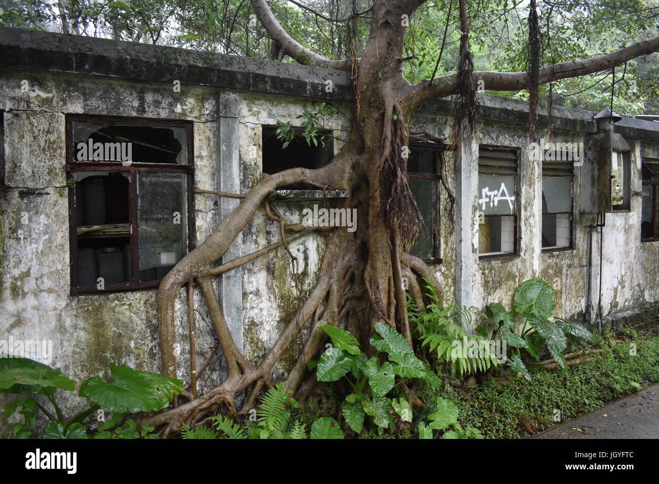 Old Hong Kong Stock Photo - Alamy