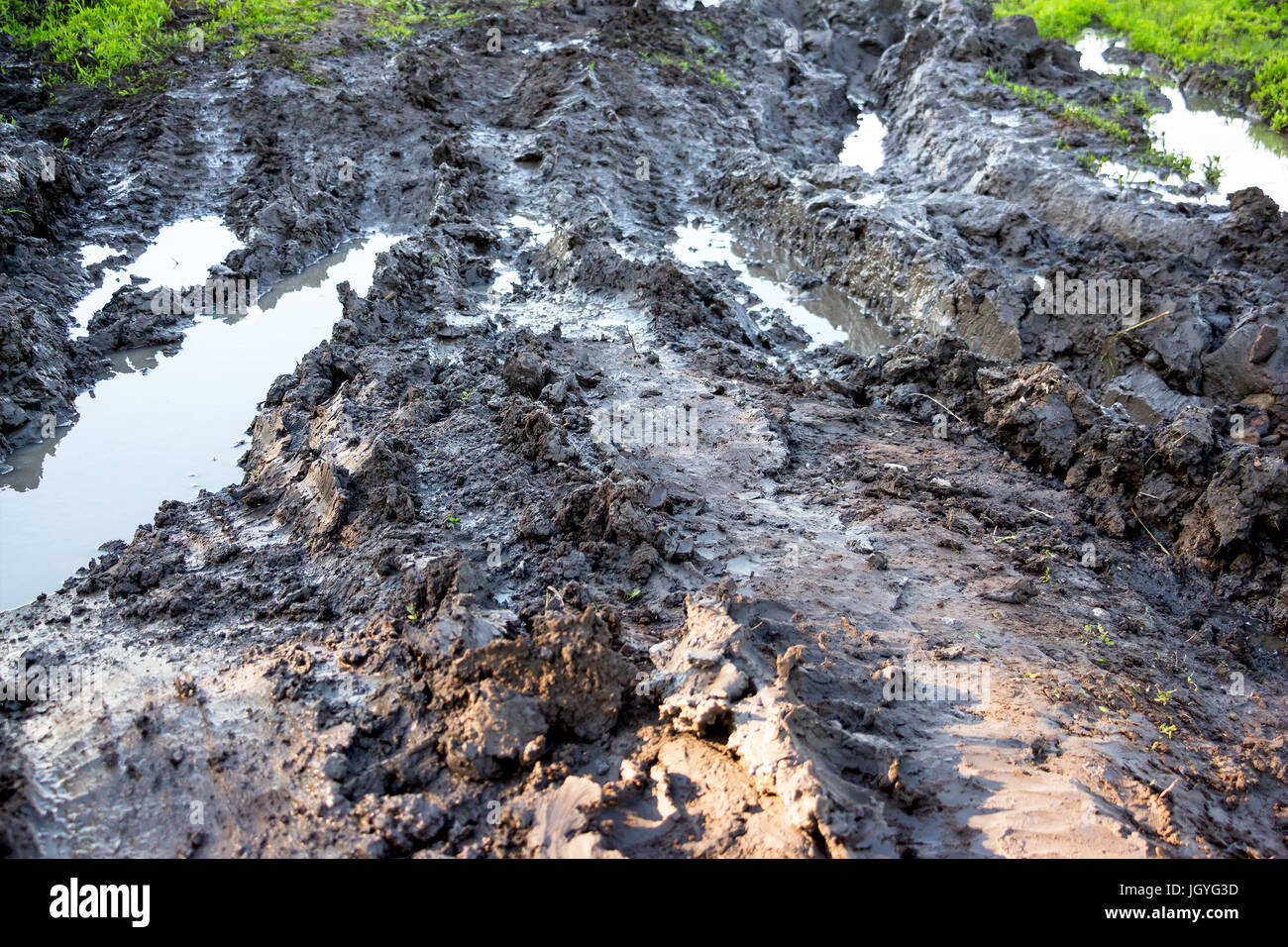 Dirt track in forest Stock Photo - Alamy