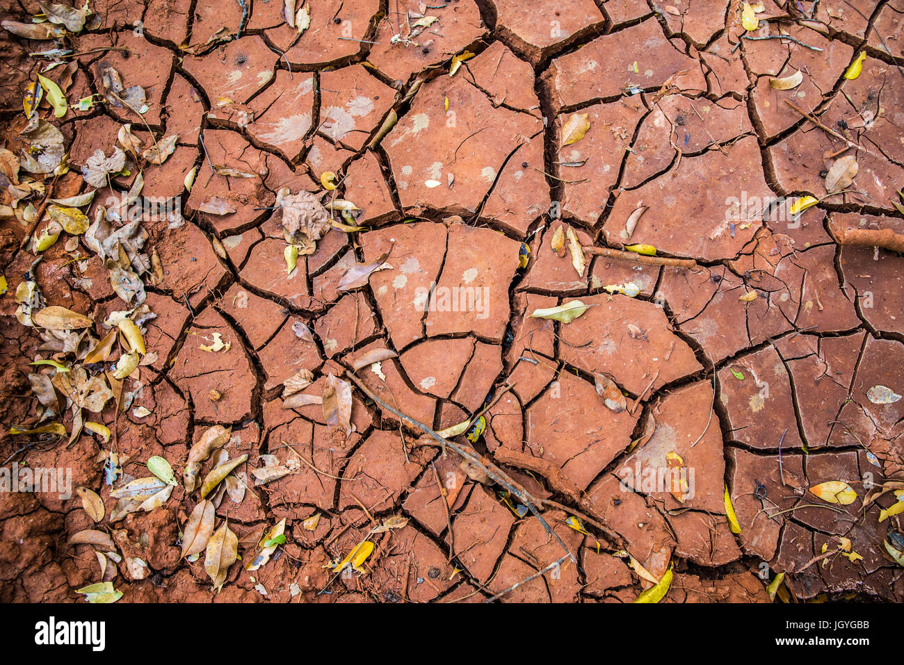 Drought in madagascar hi-res stock photography and images - Alamy