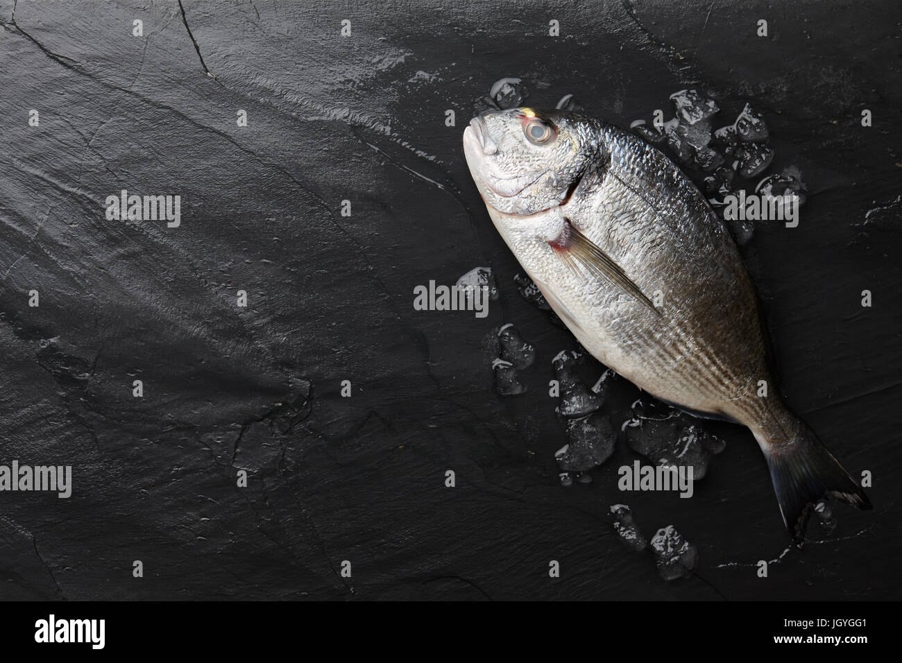 Fresh raw sea bream fish at the rock Stock Photo - Alamy