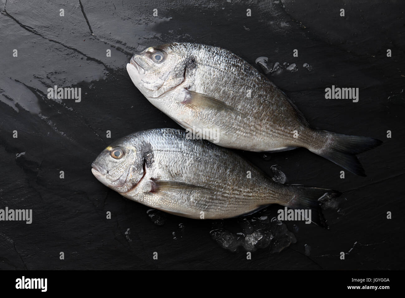 Fresh raw sea bream fish at the rock Stock Photo - Alamy