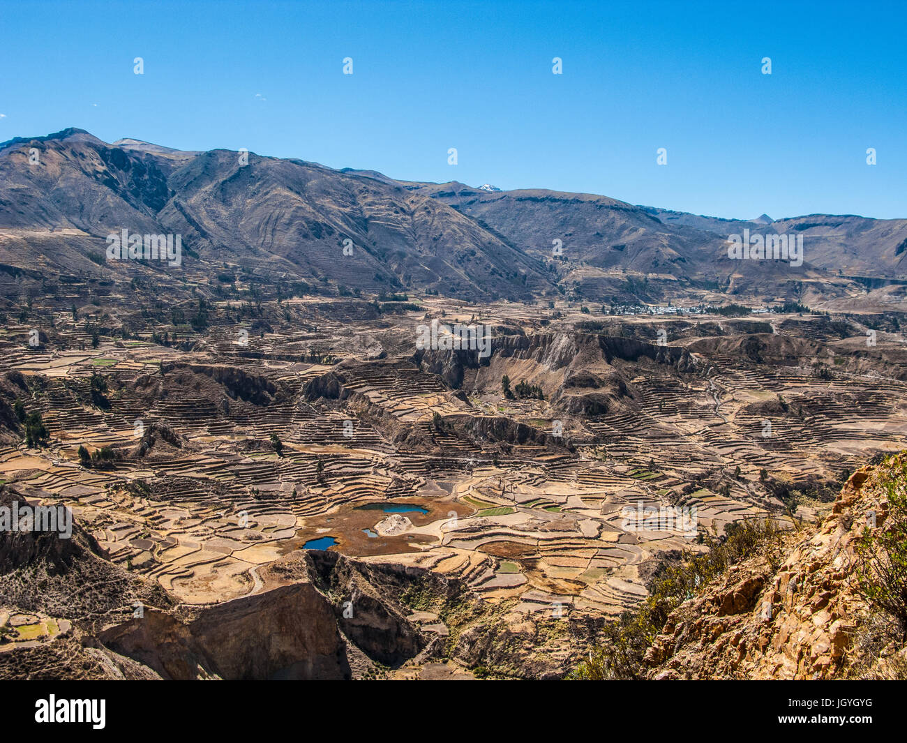 Terrace incan farming agriculture hi-res stock photography and images ...