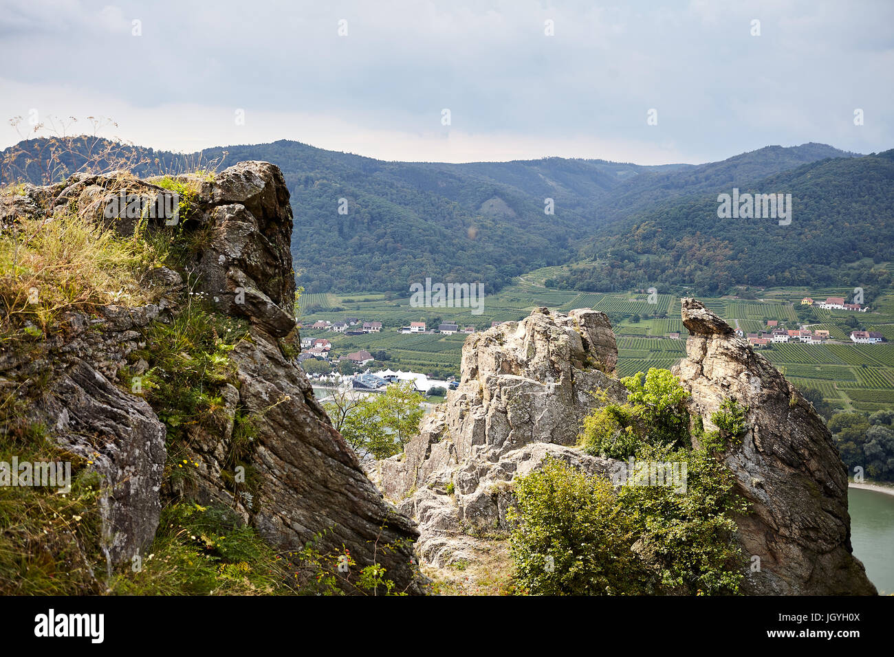 Lower austria vineyard hi-res stock photography and images - Alamy