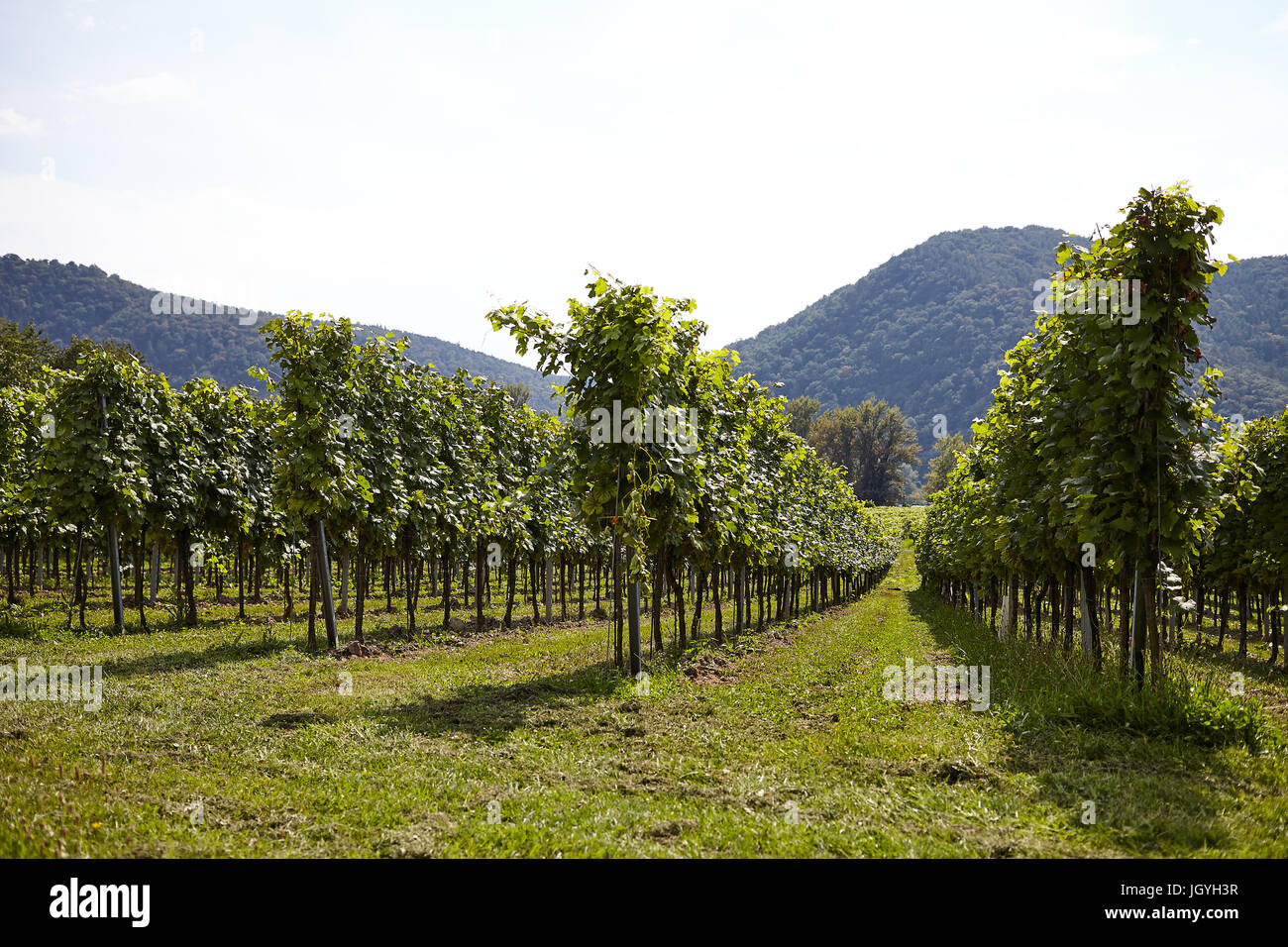 Austrian valley hi-res stock photography and images - Alamy