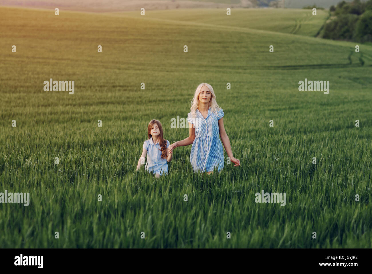 mom and daughter in beautiful dresses walk in field of beautiful summer ...