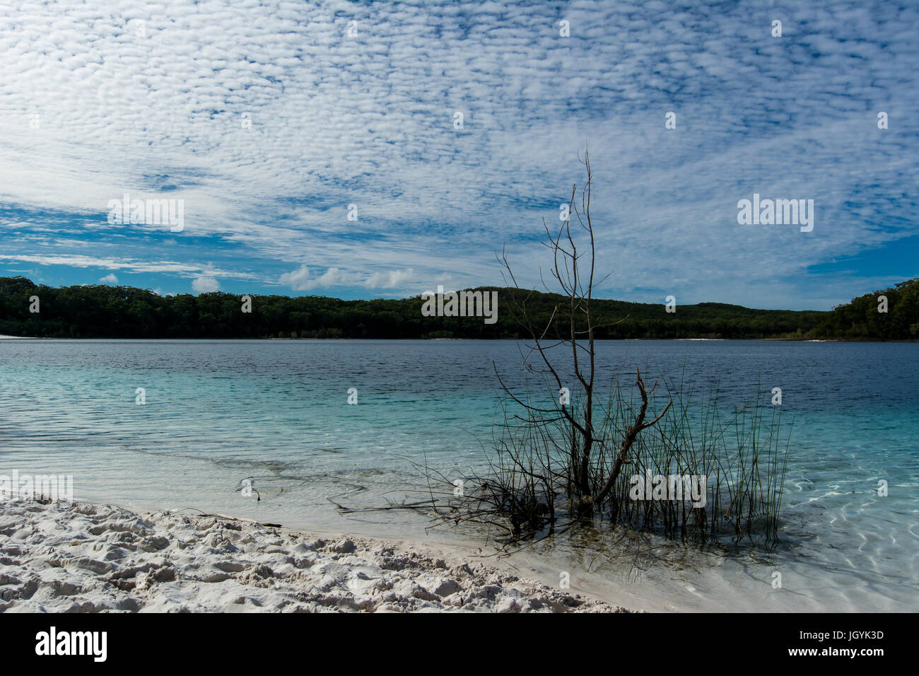 Lake McKenzie on Fraser Island, Queensland, Australia Stock Photo - Alamy