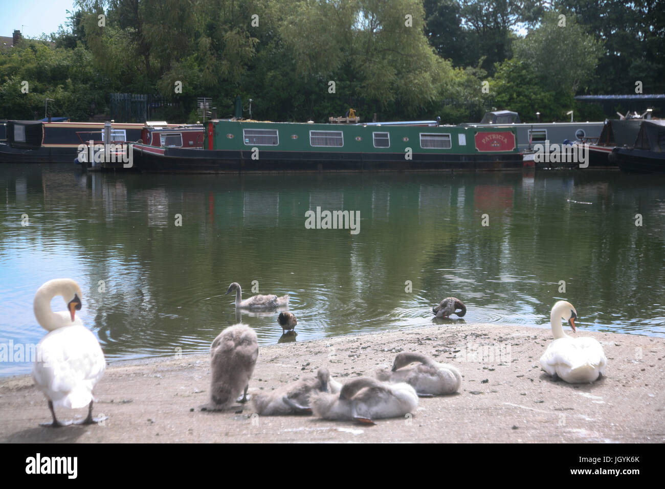 Hayes london hi-res stock photography and images - Alamy