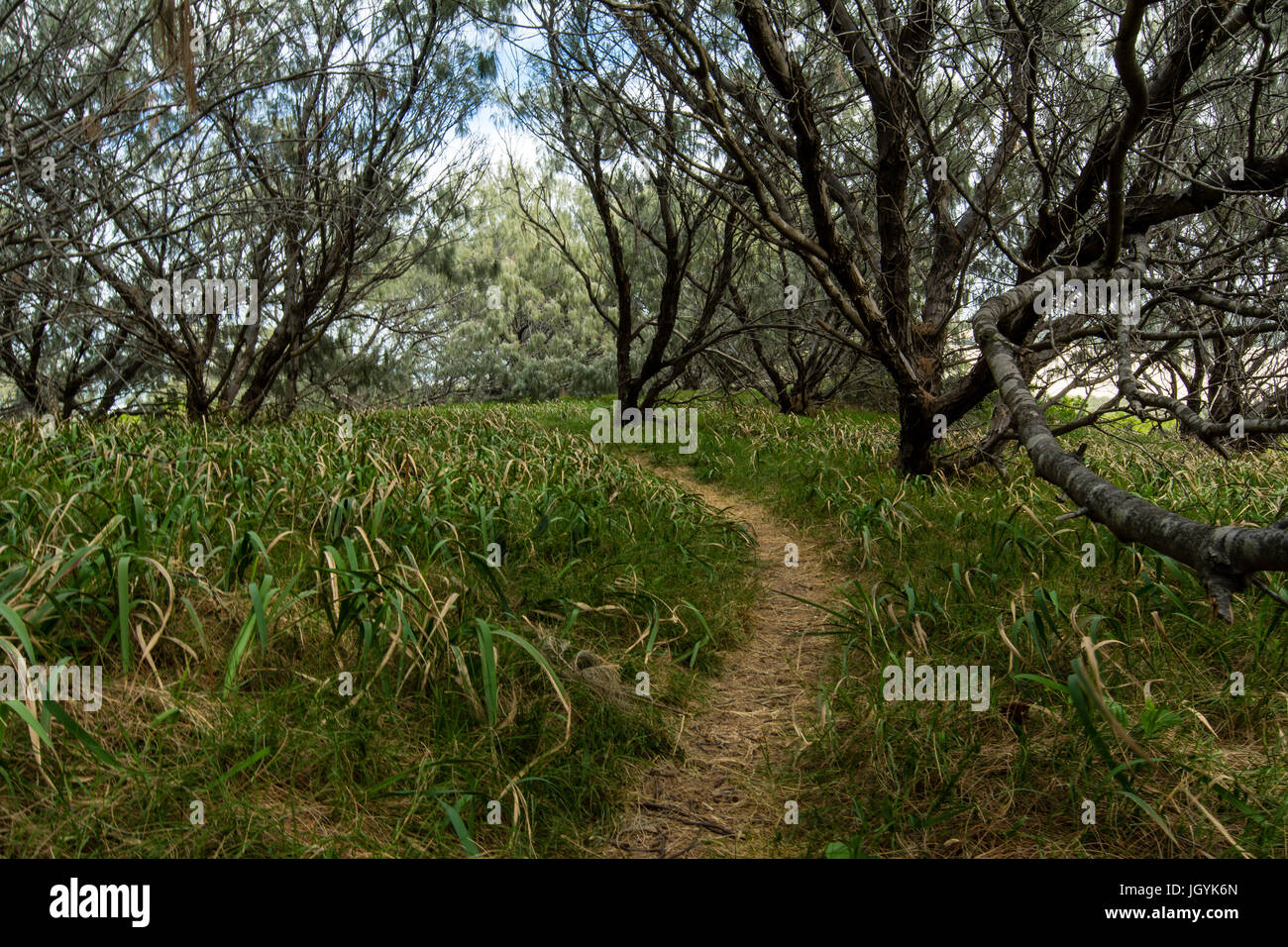 Well worn pathway hi-res stock photography and images - Alamy