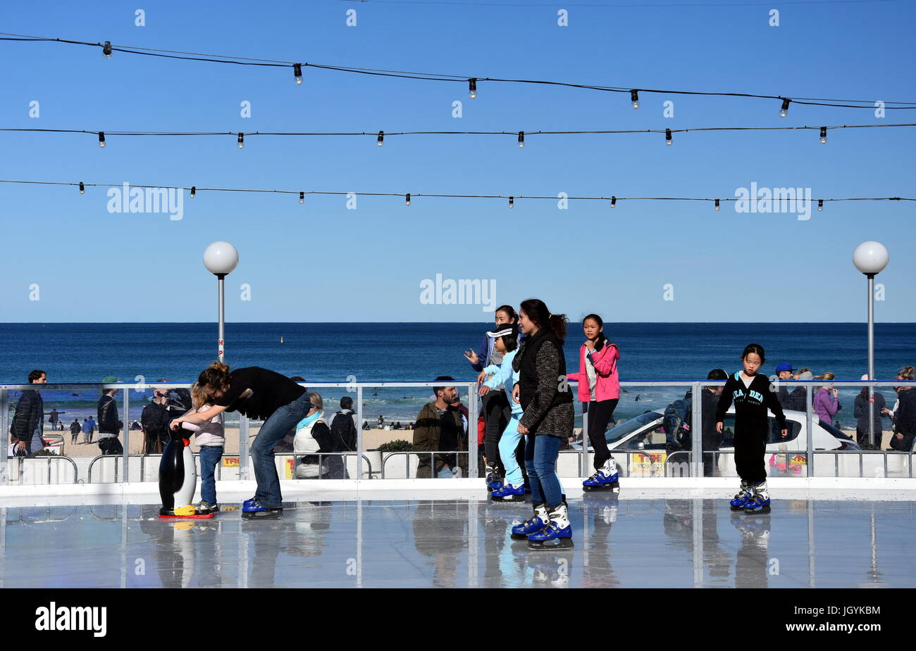 Penguin skating aid hi-res stock photography and images - Alamy
