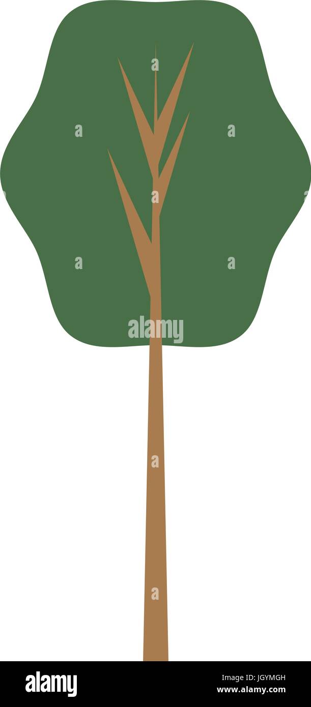 Tree isolated symbol icon vector illustration graphic design Stock ...