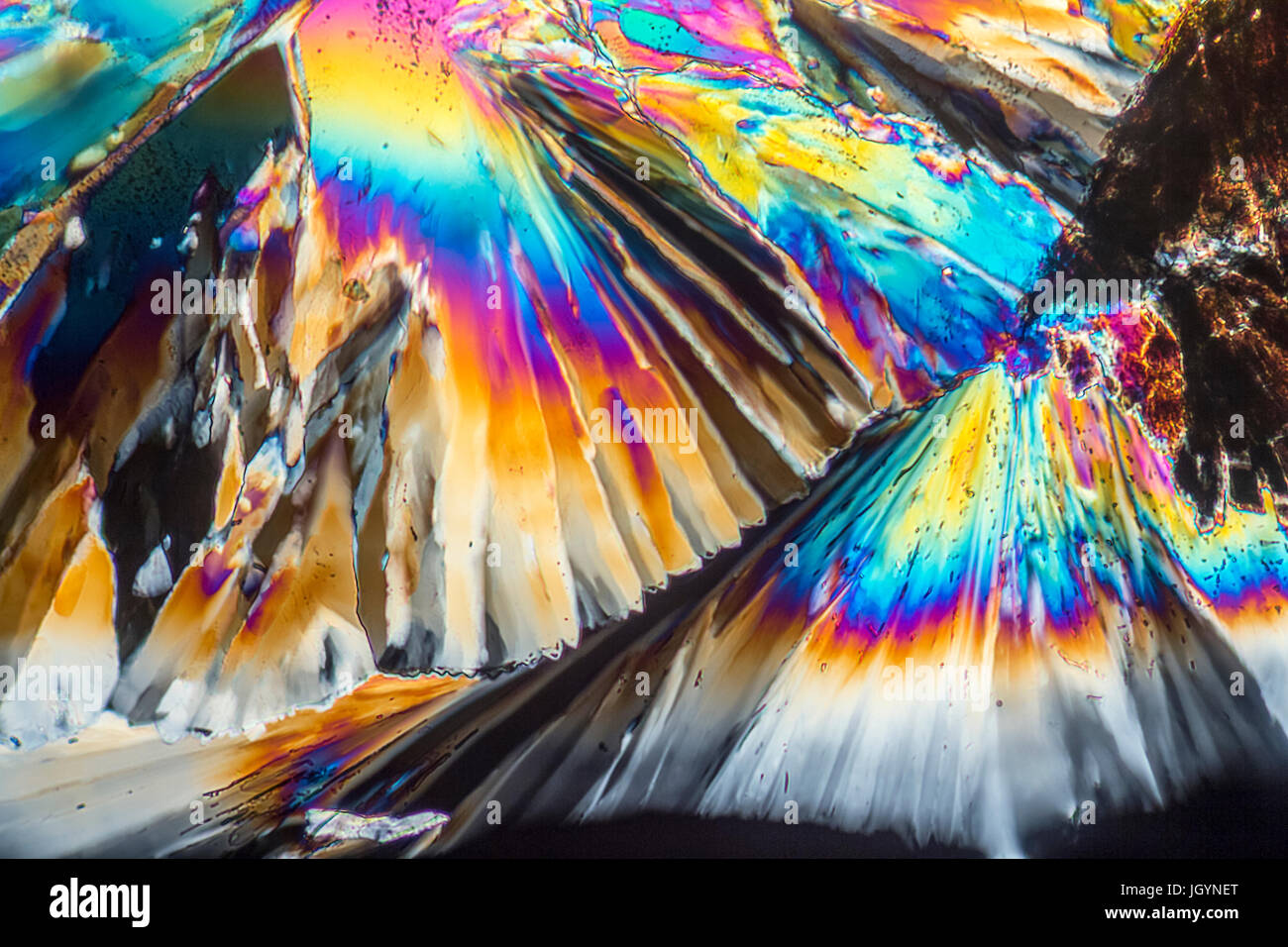 colorful microscopic shot of Trisodium citrate microcrystals in ...