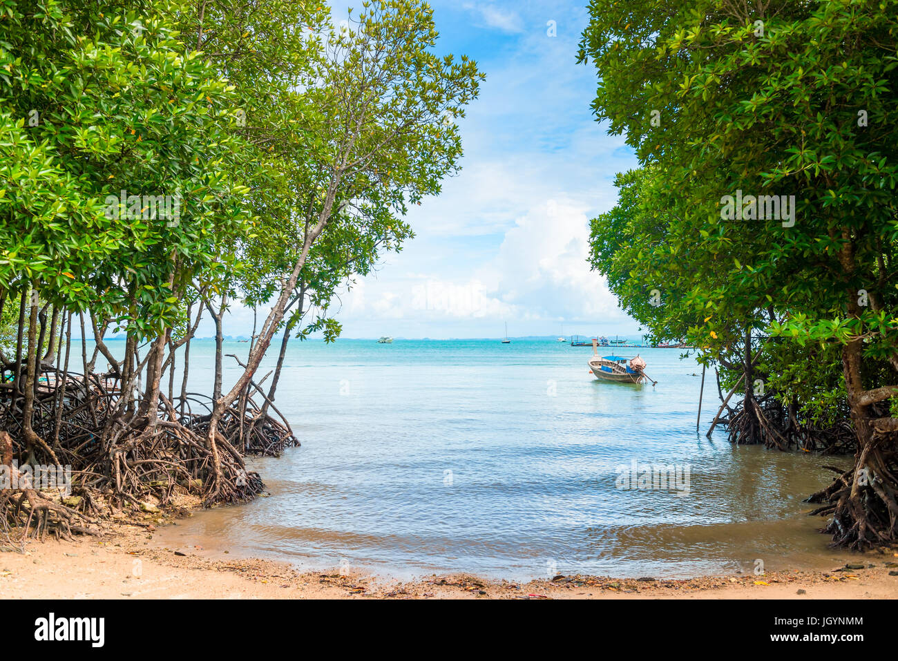 Thick bushes hi-res stock photography and images - Alamy