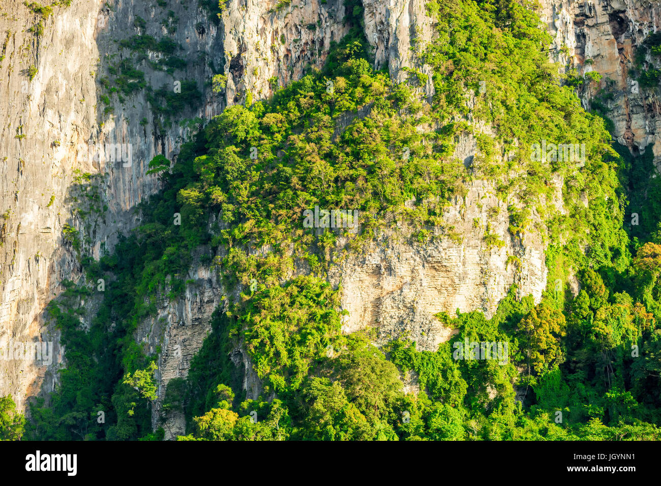Rocky cliffs with growing green trees, asia Stock Photo - Alamy