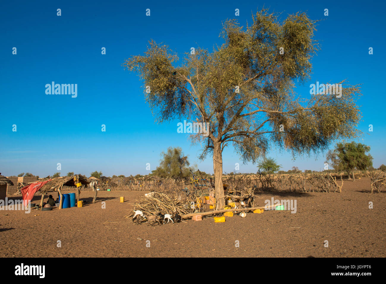 Rural Senegal Village High Resolution Stock Photography and Images - Alamy