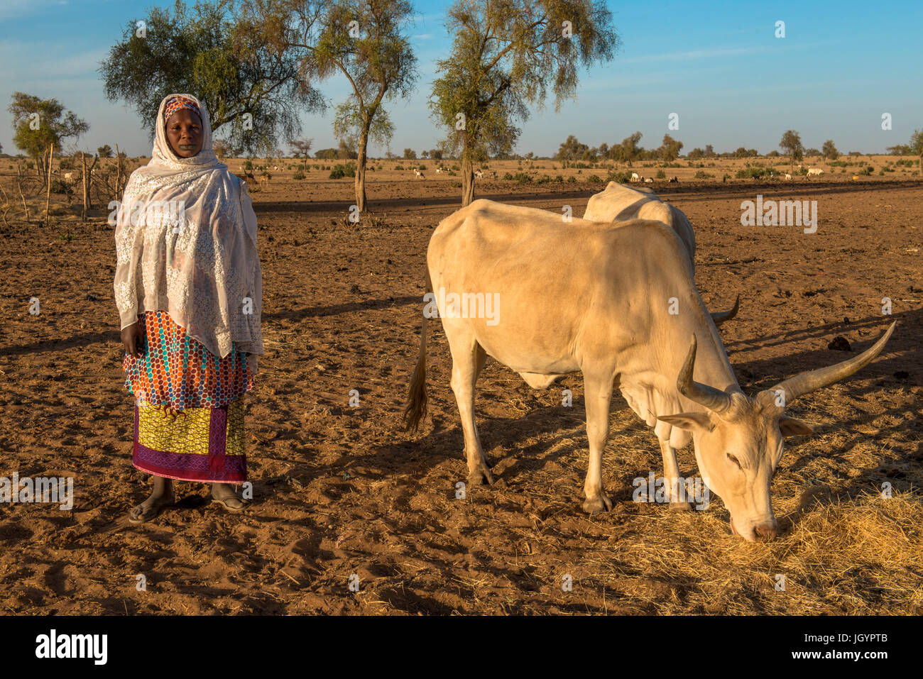 Senegal woman farming hi-res stock photography and images - Alamy