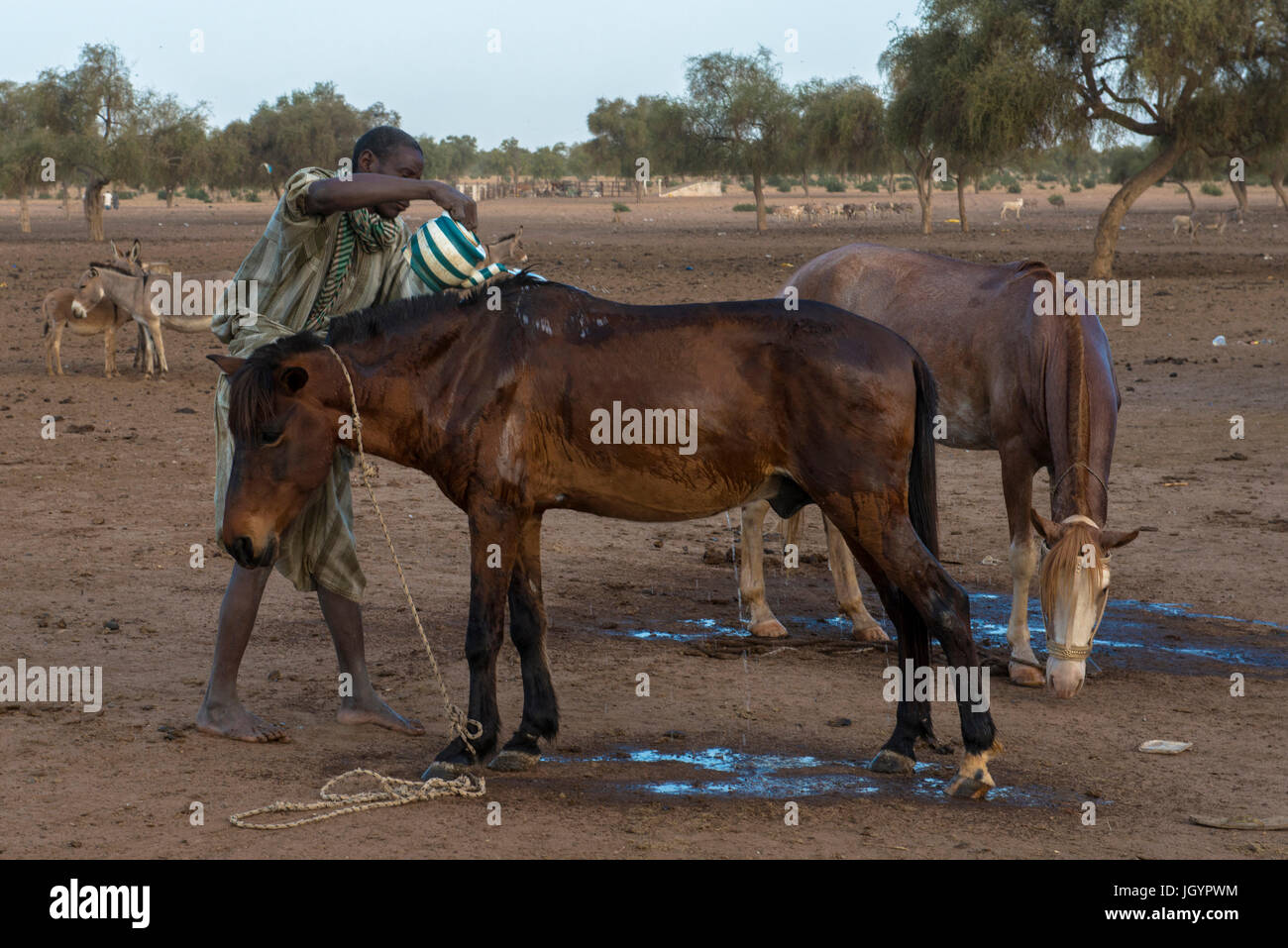 Peasant washing hi-res stock photography and images - Alamy