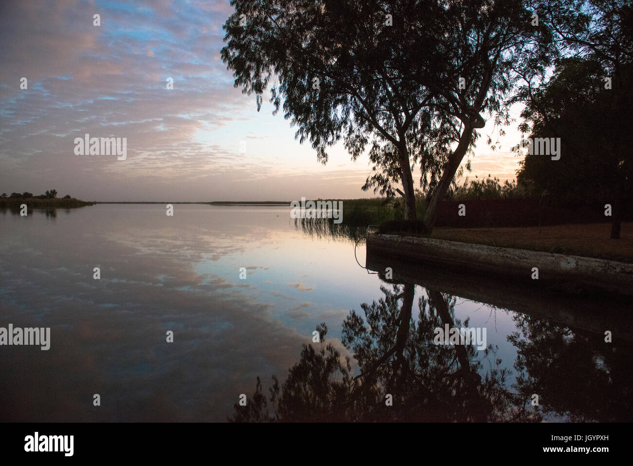 Senegal river inÂˆ Richard-Toll. Senegal Stock Photo - Alamy